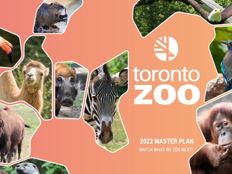 Toronto Zoo 多伦多动物园规划设计（英）-Soogao.搜稿网